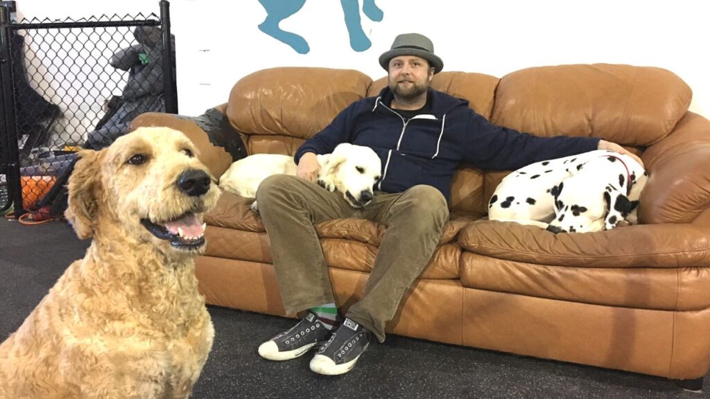 It’s ‘ruff’: One doggie daycare owner explains how his COVID-battered ...