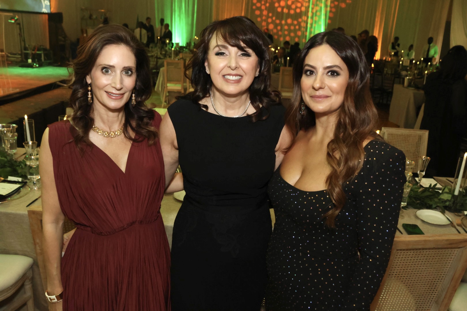 A breath of fresh air: Elmwood Gala raises $300K for outdoor play