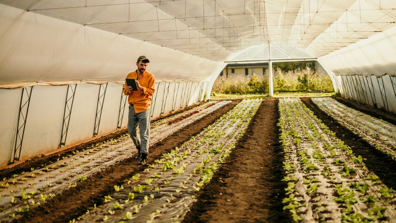 Innovative agriculture training programs in the nation’s capital
