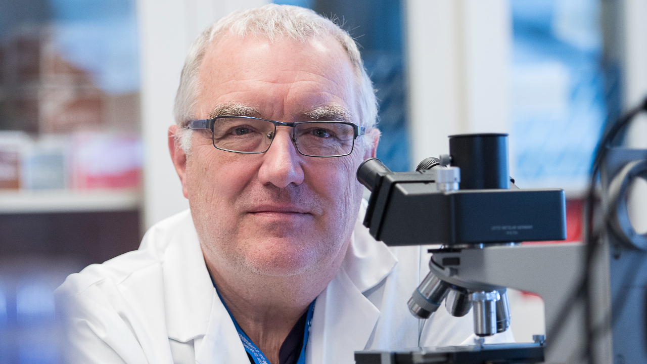 Biotech sector to get boost from expanded biotherapeutics centre at TOH ...