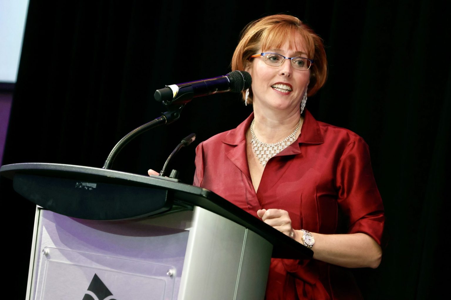 Spark Soirée raises $65K-plus to help ONFE fuel the future for kids