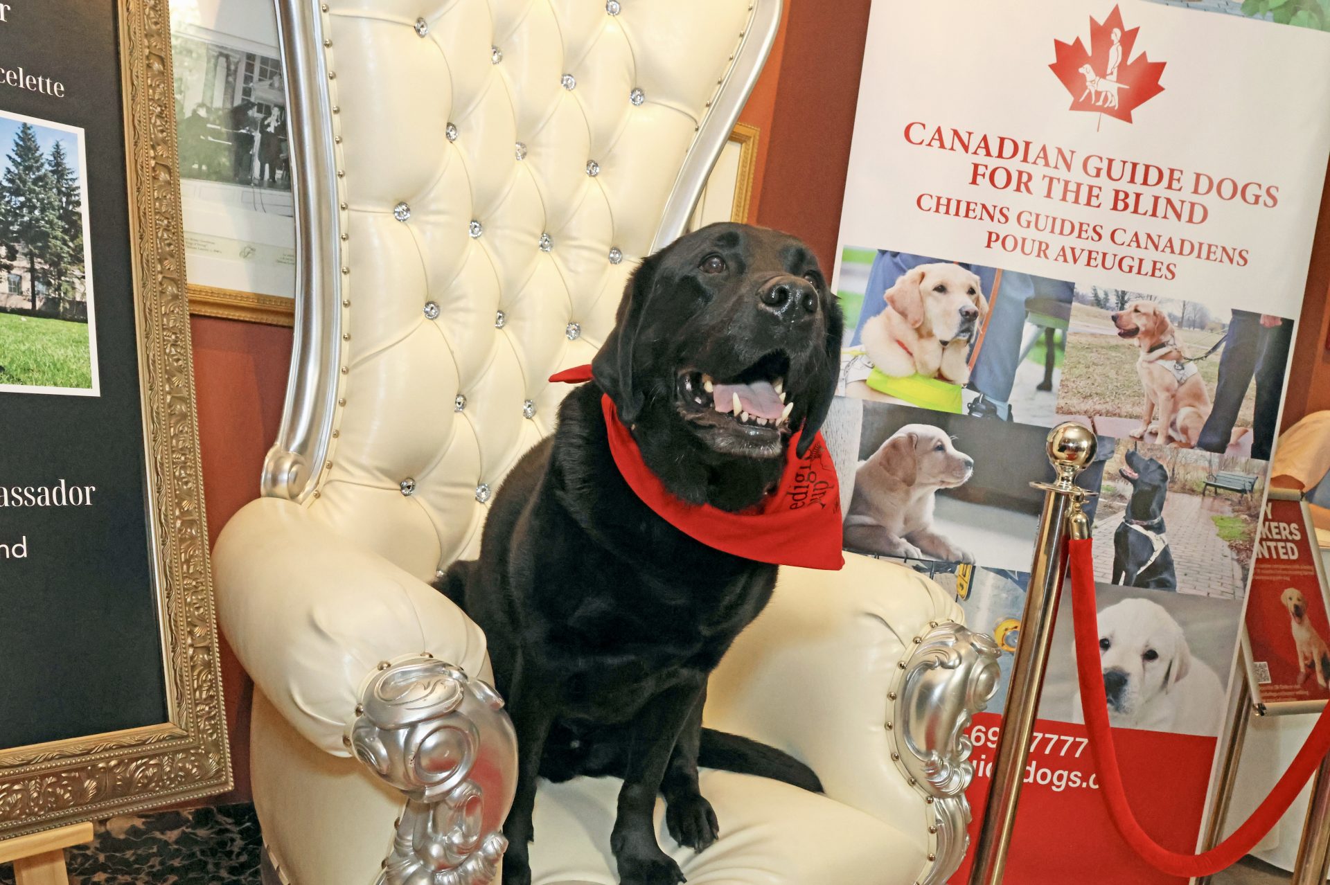 How the Château Laurier’s dog became a literary star