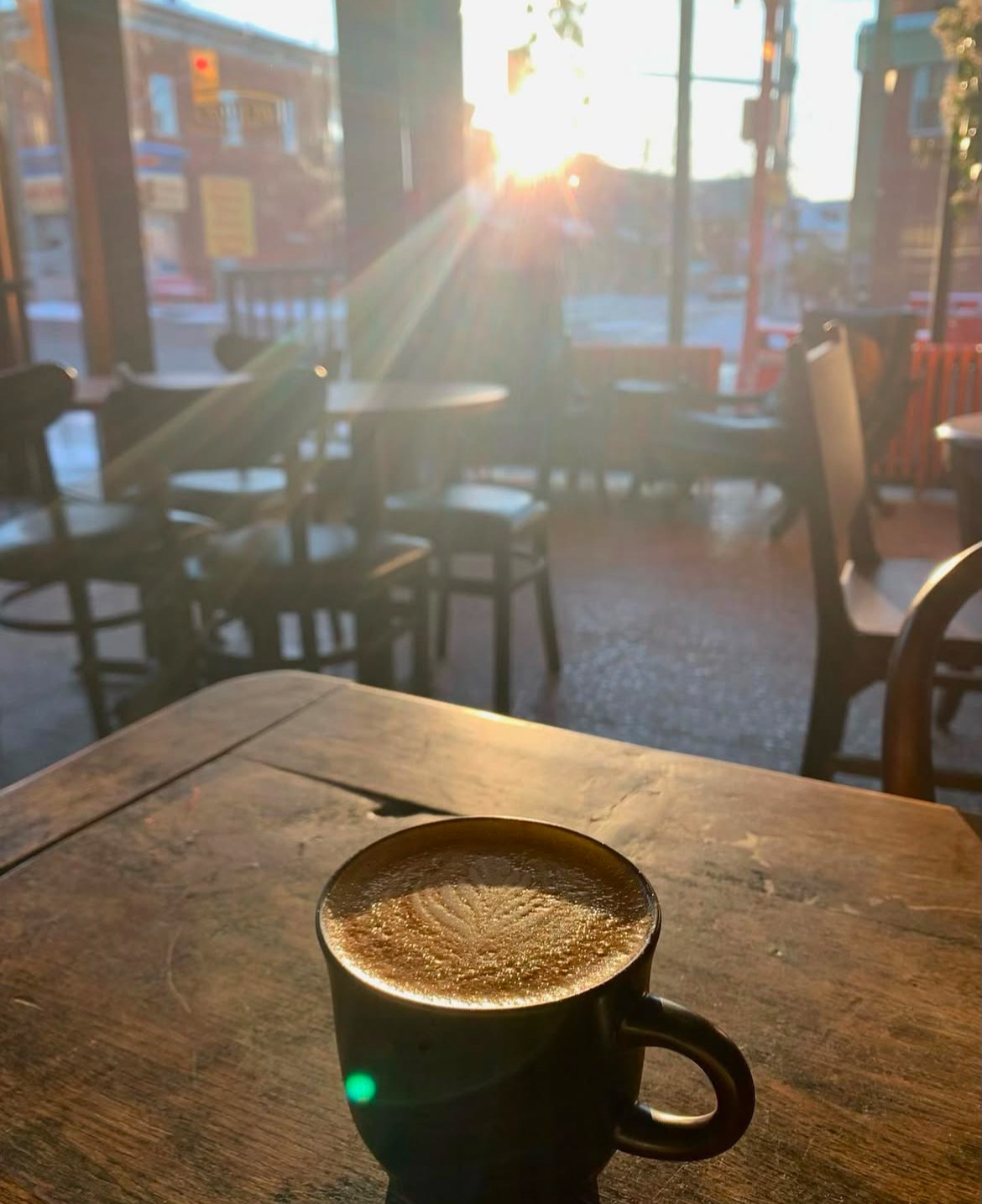 Savour the City: The six coziest coffee shops in central Ottawa to ...