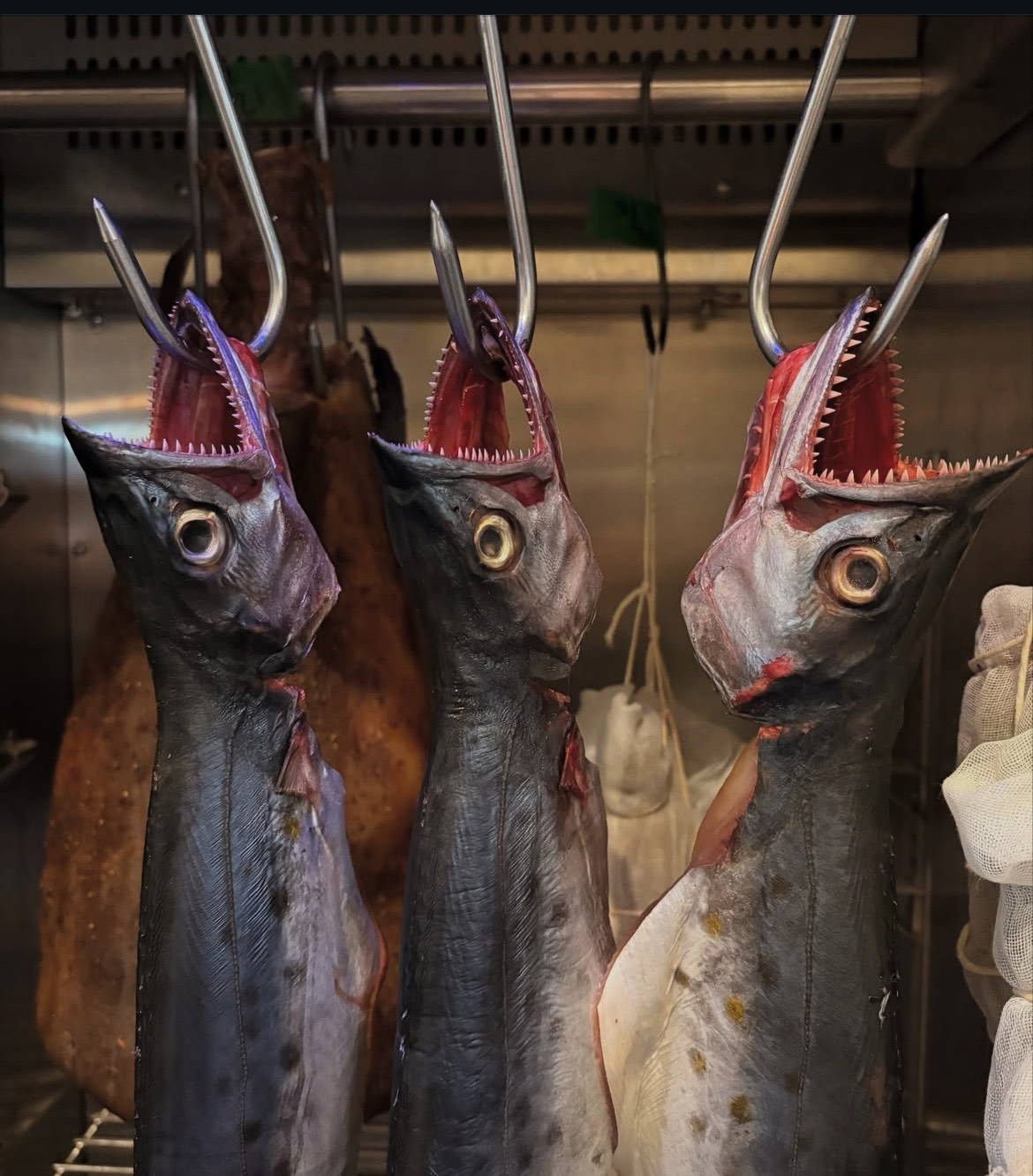 Chef Alex Bimm talks about the ups and downs of introducing Le Poisson ...